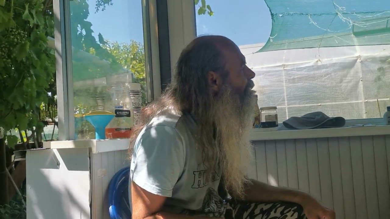 ЛАД  Разговор про освобождение ЛАДа от алгебры в школе. Обучение детей-роботов