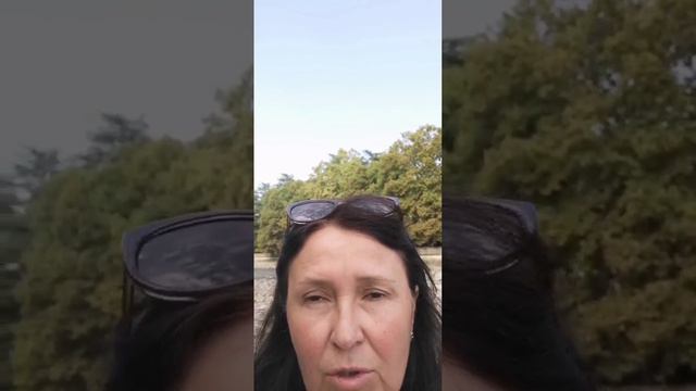 Отзыв СХ и СГ _ Ольга  Чадова