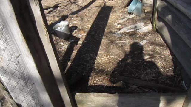 Наша Гарошка