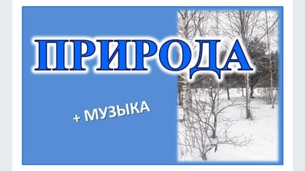 Природа. Александра Миркушова