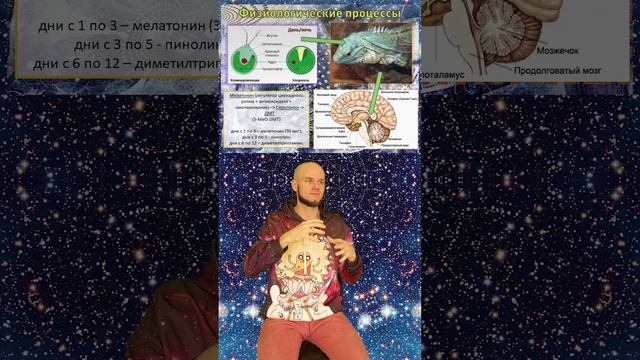 НаНо-Ретрит: Вступление, часть3