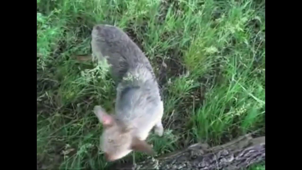 Копал и накрыло дождем