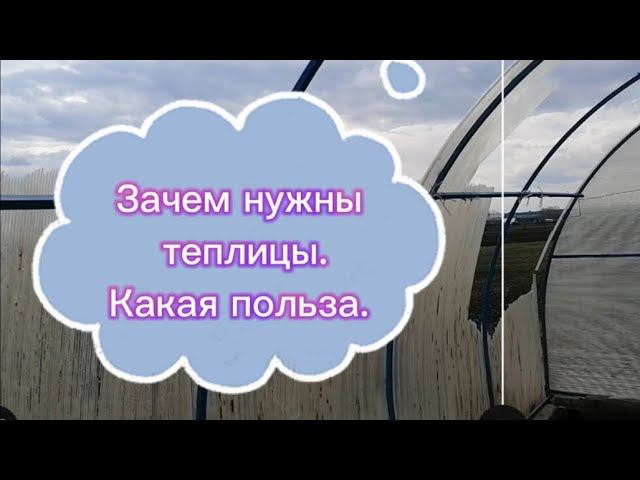 Мои мнения про теплицу.   Хочешь проблемы, покупай теплицу