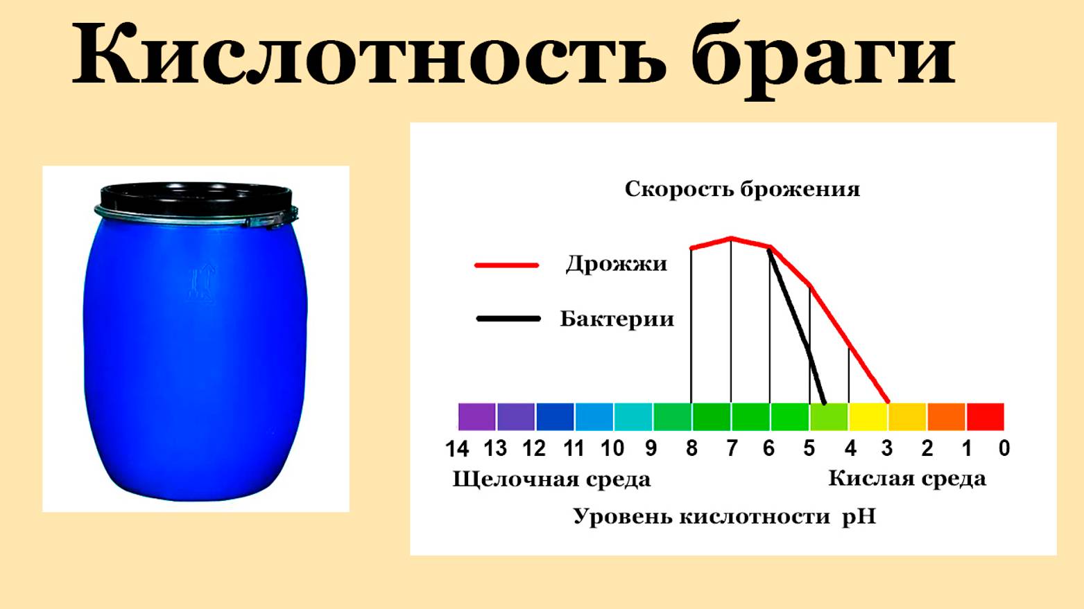 Кислотность браги.