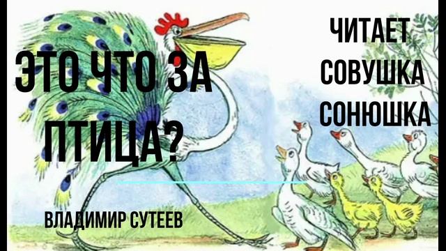 Владимир Сутеев - Это что за птица