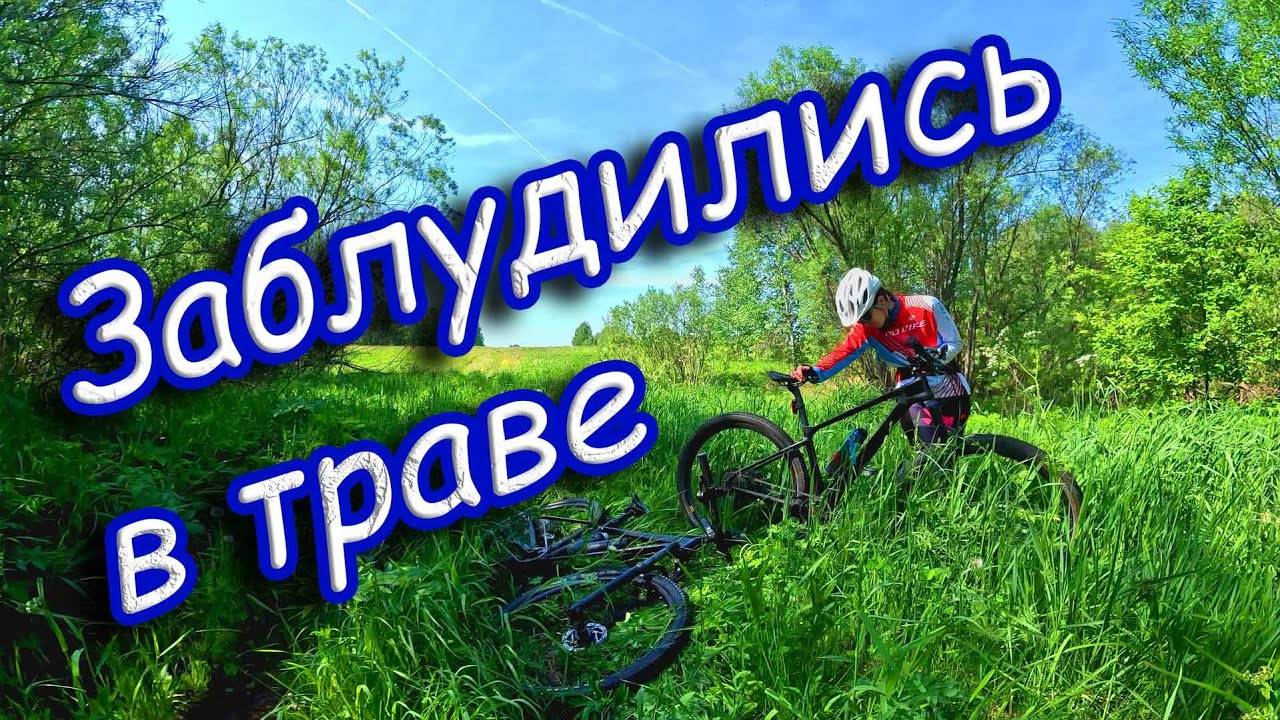 Заблудились в траве. Где дороги? Курашим - Горбуново