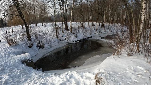 Санкт-Петербург Южно Приморский Парк зима  2023.02.20