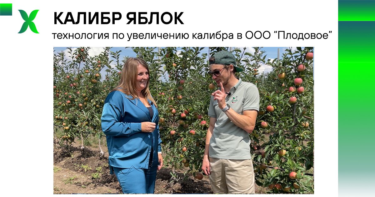 Как увеличить калибр яблок /Плодоводство