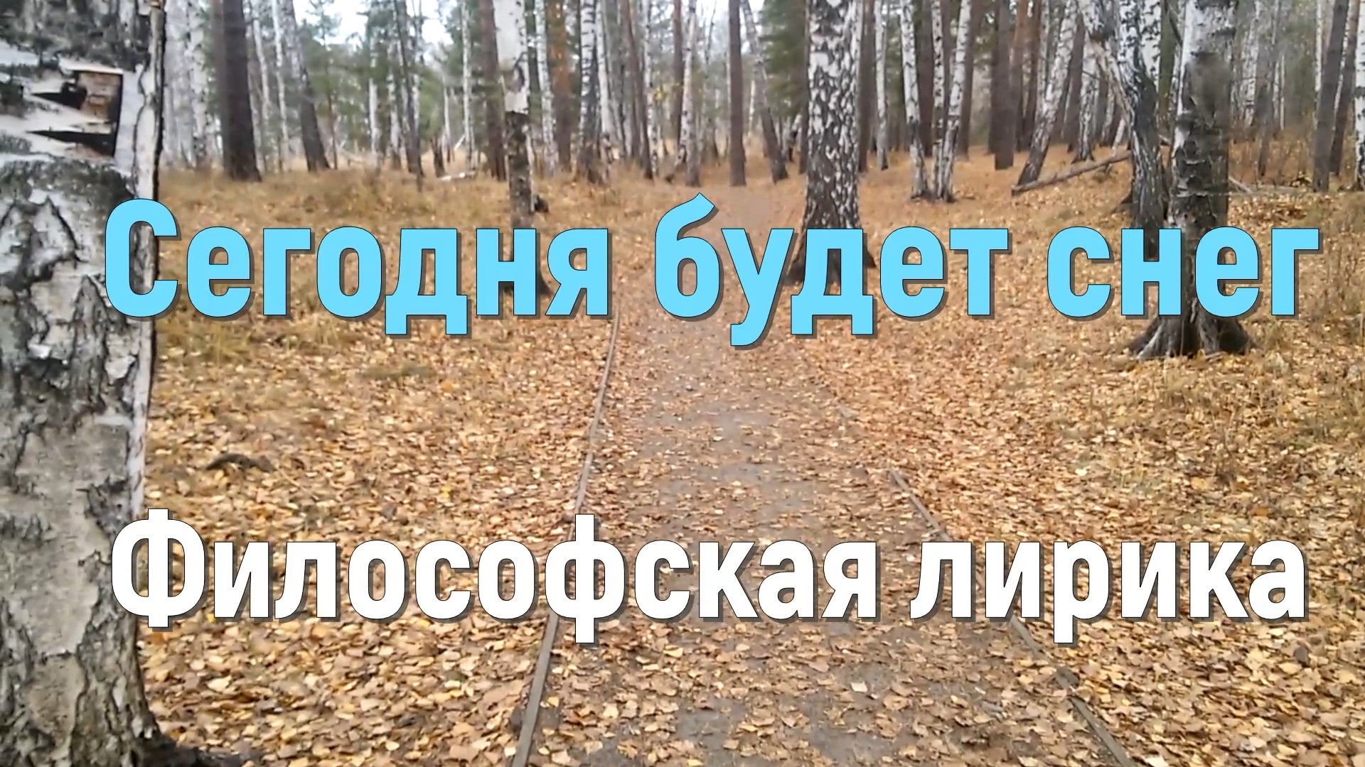 Сегодня будет снег. Стихи о природе. Философская лирика.