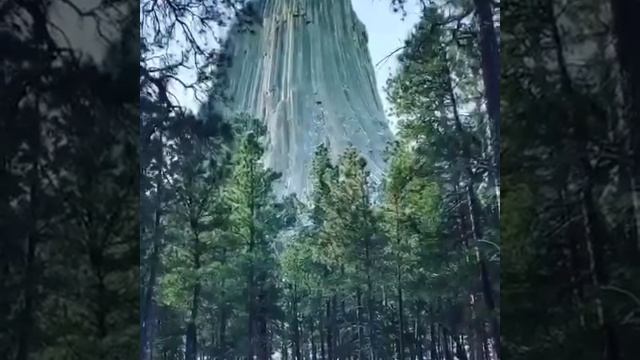 НАСТОЯЩИЙ МОРДОР