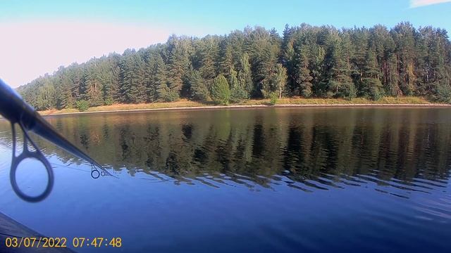 2022.08.01 Поимка подлещика (1).mp4