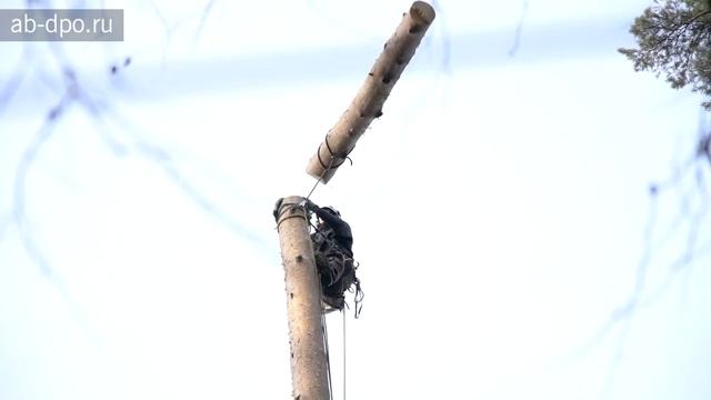 Оборудование и снаряжение арбориста