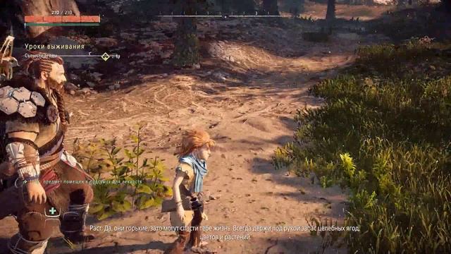 Horizon Zero Dawn Complete Edition  НА РАССЛСБЛЕНИИ   Ч.1