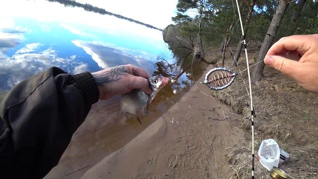 Кормушка для рыбалки