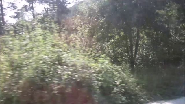 ПЪТУВАНЕ ИЗ ЗАПАДНИТЕ РОДОПИ /част 25/. НЕДЕЛИНО - ЗЛАТОГРАД