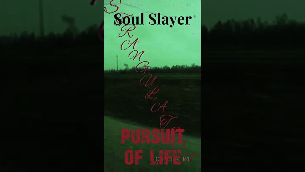 Pursuit Of Life (Strangulation OST)