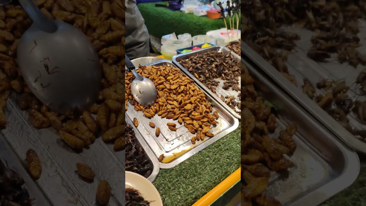 Треш уличная еда Таиланда, жареные тараканы, жуки и прочие насекомые