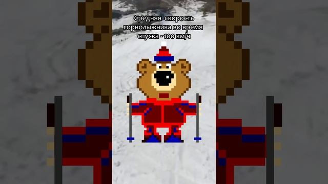 Мишка горнолыжник