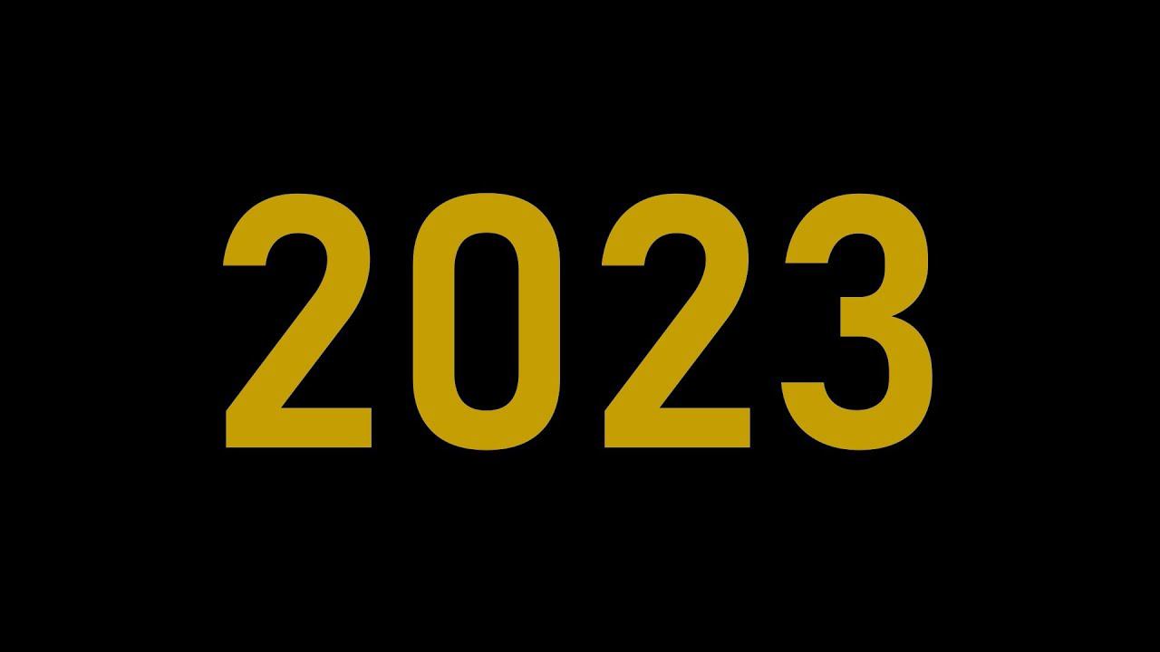 2023 год
