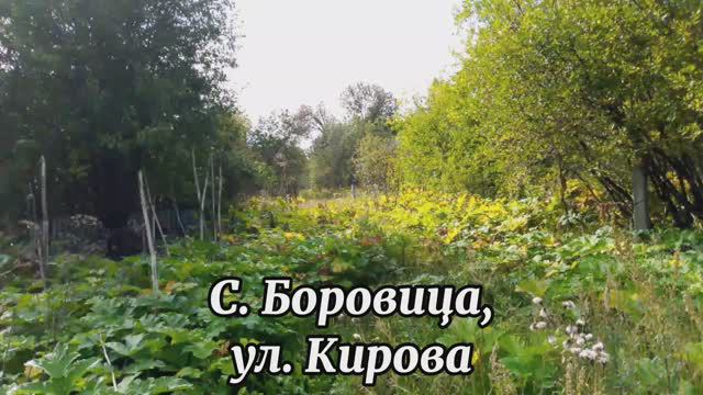 Село Боровица, улица Кирова.mp4