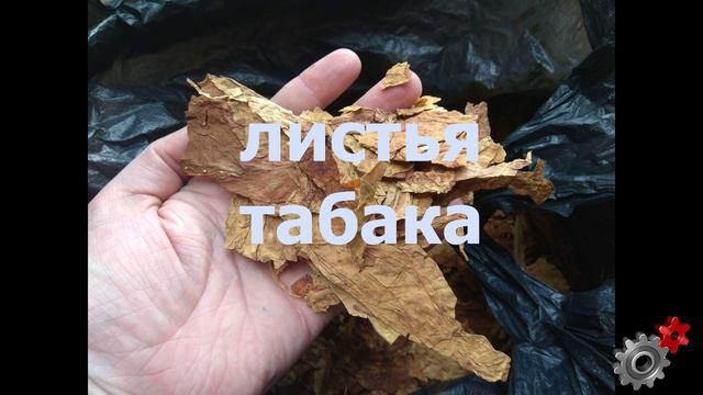 Измельчение шоколада и табака Molot-200