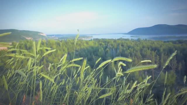 Фолк-группа «Кумовья» - Ах, ночь, голубая ночь! (2018)