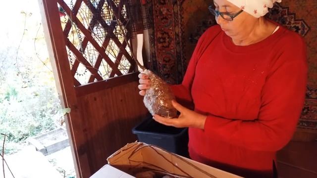 Сады России в посылку  положил два подарка.