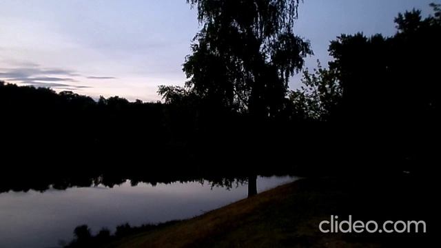 Вечерняя прогулка с бабушкой Зоей.