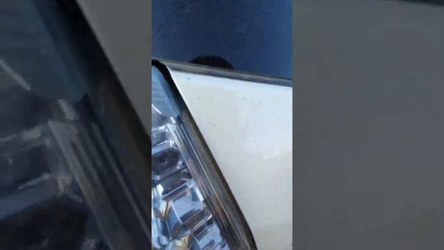 Стоило проехать по новому асфальту.. уделали полностью Honda fit shuttle в битуме.