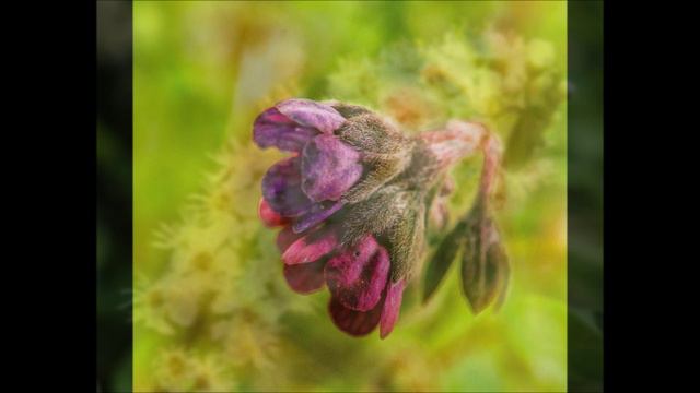 В День Рождения