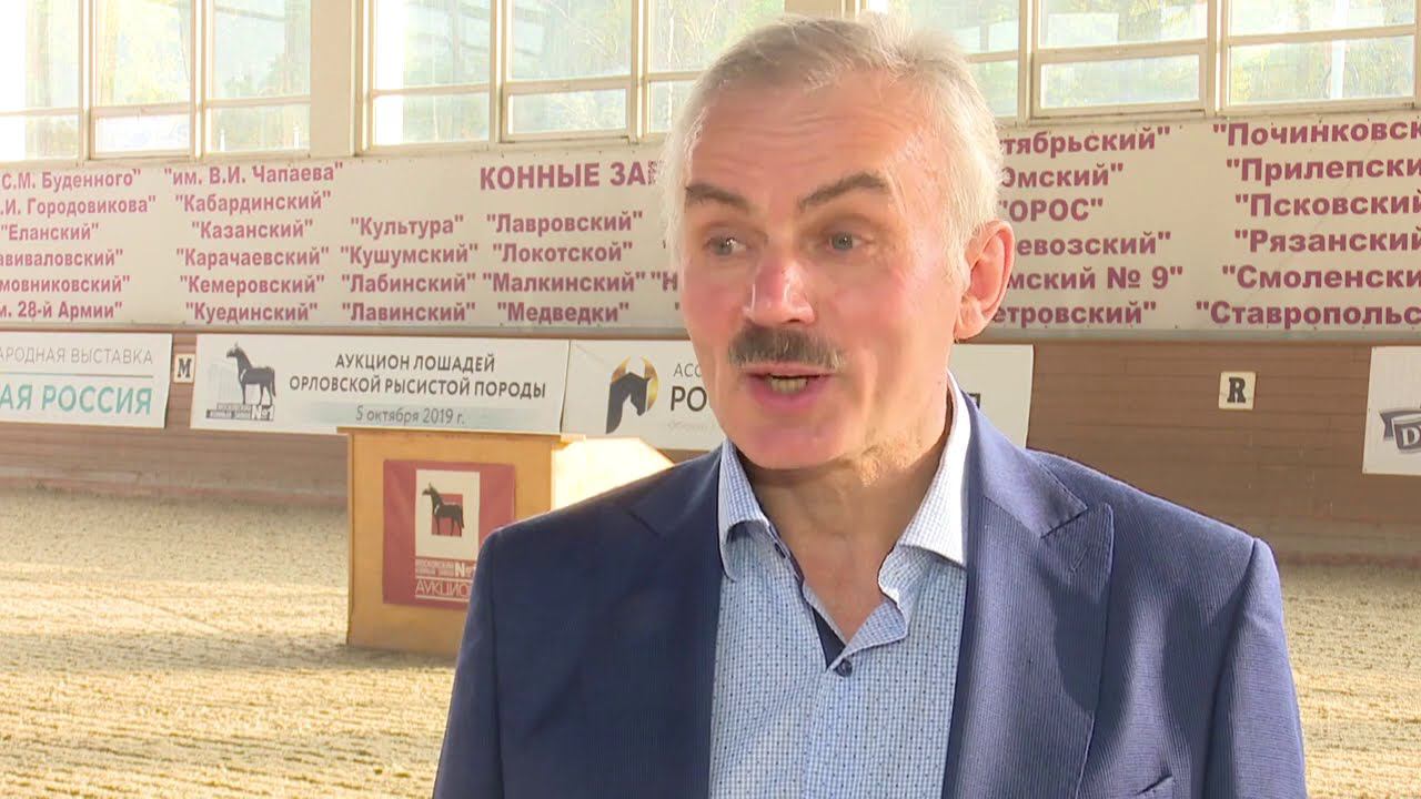 Аукцион орловских рысаков на МКЗ №1 - 2020. Сюжет ОТВ от 07.10.2020.