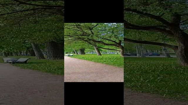 Павловск , СПБ ПИТЕР ТИПИЧНЫЙ ПИТЕР ЛЕТО ПРИРОДА