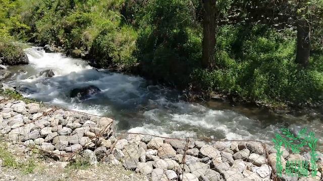 По местам силы. Симфония камня. (Армения)
