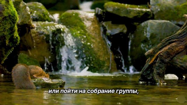 "Сарказм". 15 июня. Мужество меняться. Ежедневник для созависимых