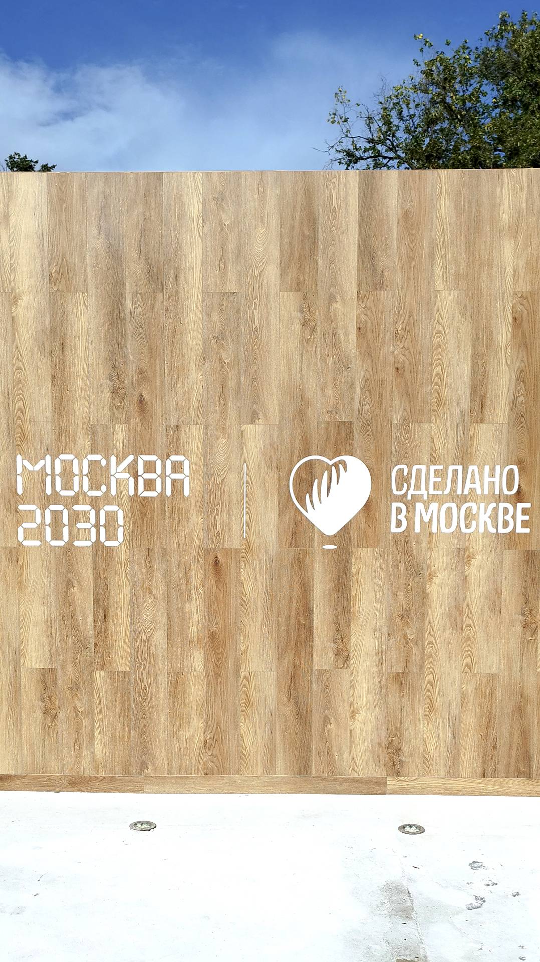 Форум-фестиваль Москва 2030. Территория будущего. Болотная площадь, лето 2024. Бренд EVIRY. Выставки