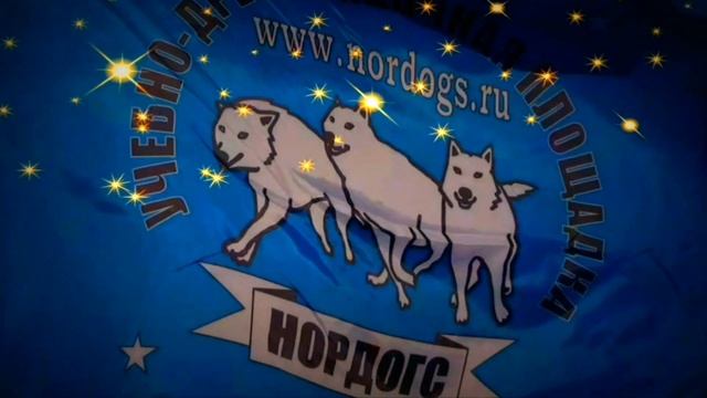 Клуб спортивно-прикладного собаководства
Нордогс-Союз