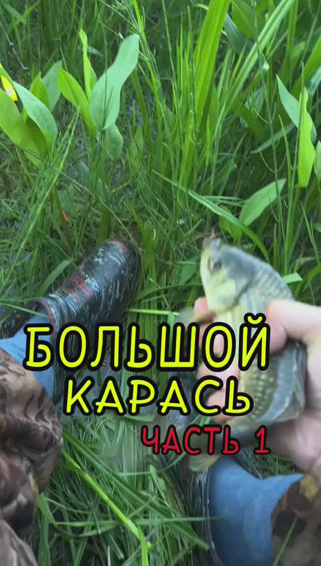 Простой Способ Поймать КАРАСЯ на Манку #рыбалка #дача #карась
