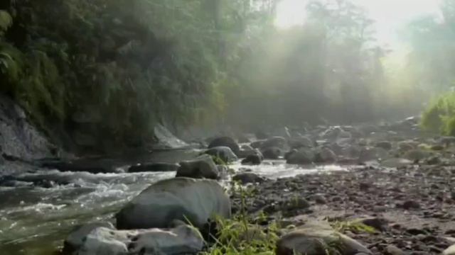 Deep Space Anatol - Вдохновение / Релакс 2024