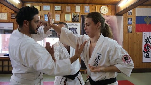 BUDO ACADEMY 43 SHORT.mp4