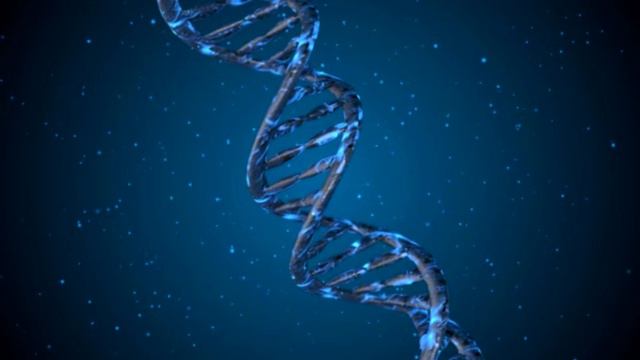 HOW CAN WE ENCOURAGE SMB TO DO SMTH