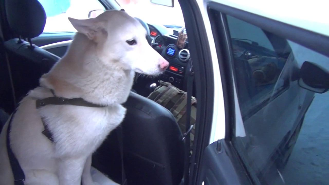 Обо всём понемногу.