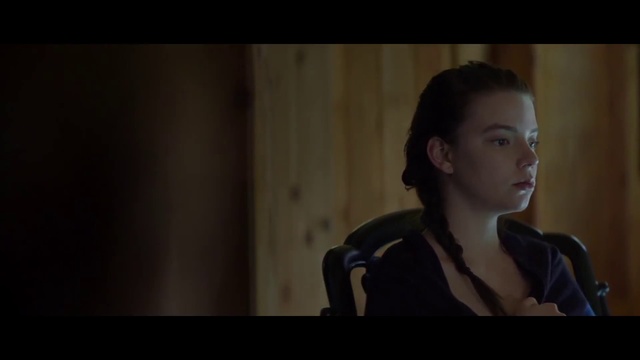 ЧИСТОКРОВНЫЙ.