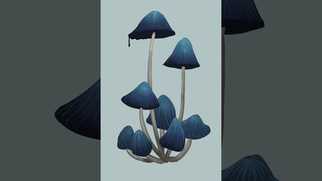 Inkcap Space Shrooms