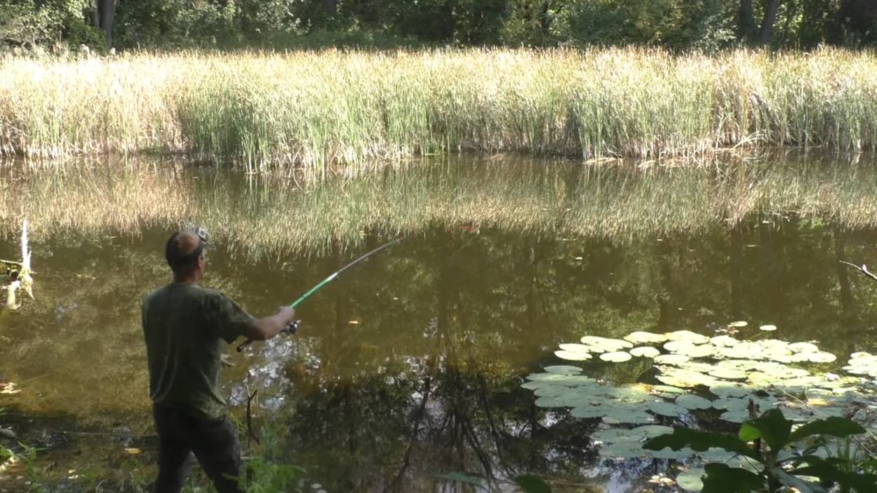 РЫБАЛКА НА ПОПЛАВОК И ДОНКУ. ЛОВЛЯ КАРАСЯ И КАРПА.