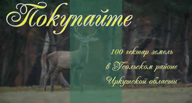 Покупайте 100 гектар земель около Белореченска