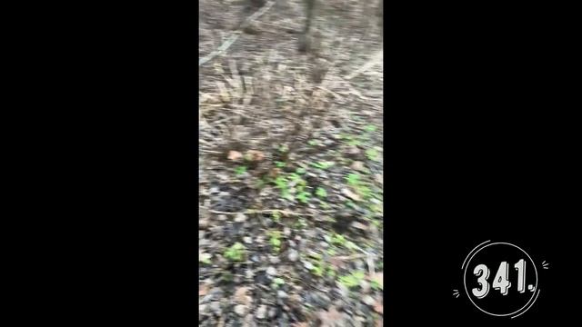 Пропала золушка в лесу , потеряла свою обувь и мусор #341 Орехово-Зуево.mp4