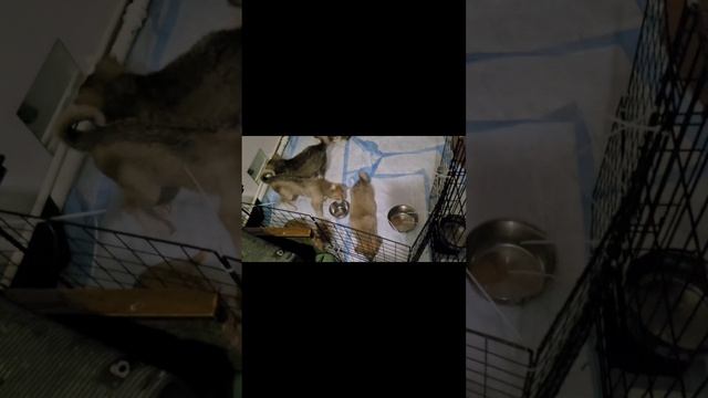 Секундочка наших будней