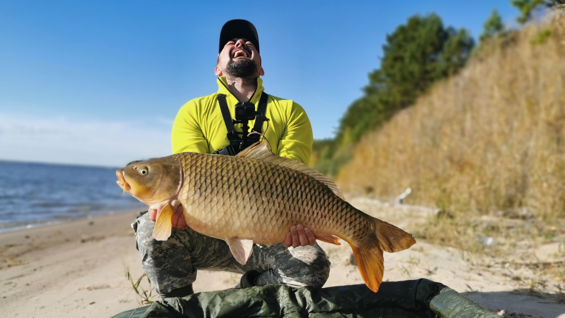 Рекордная рыбалка на Сазана. Дикие Поклевки.