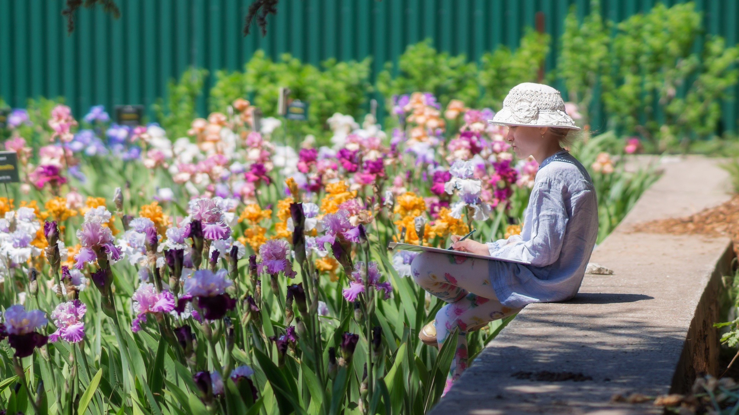 Крым Никитский ботанический сад "Райский сад" в парке "Монтедор"