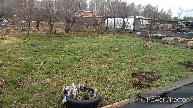 2019.Обзор-хозяйства-май